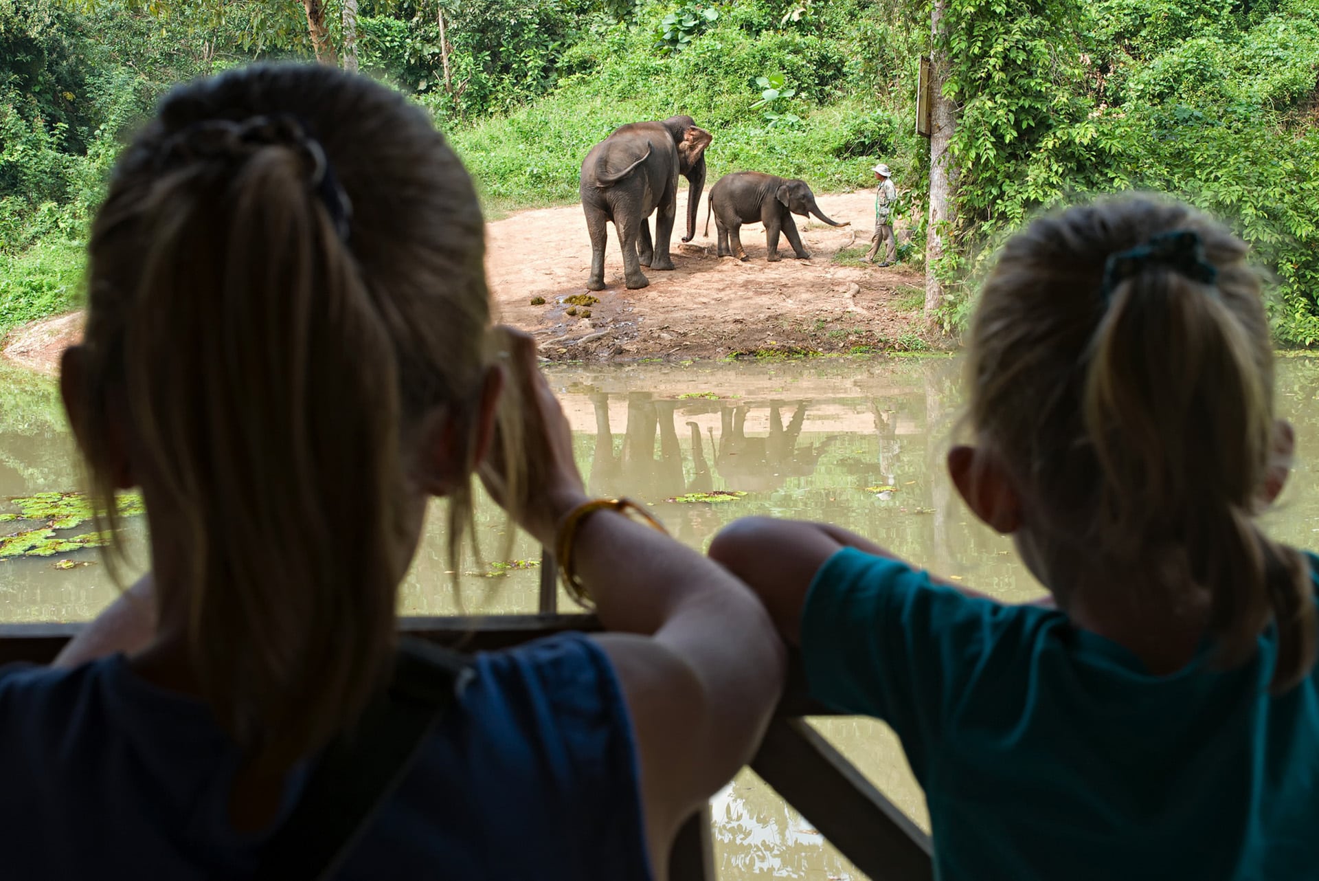 BOOK YOUR STAY - Elephant Conservation Center