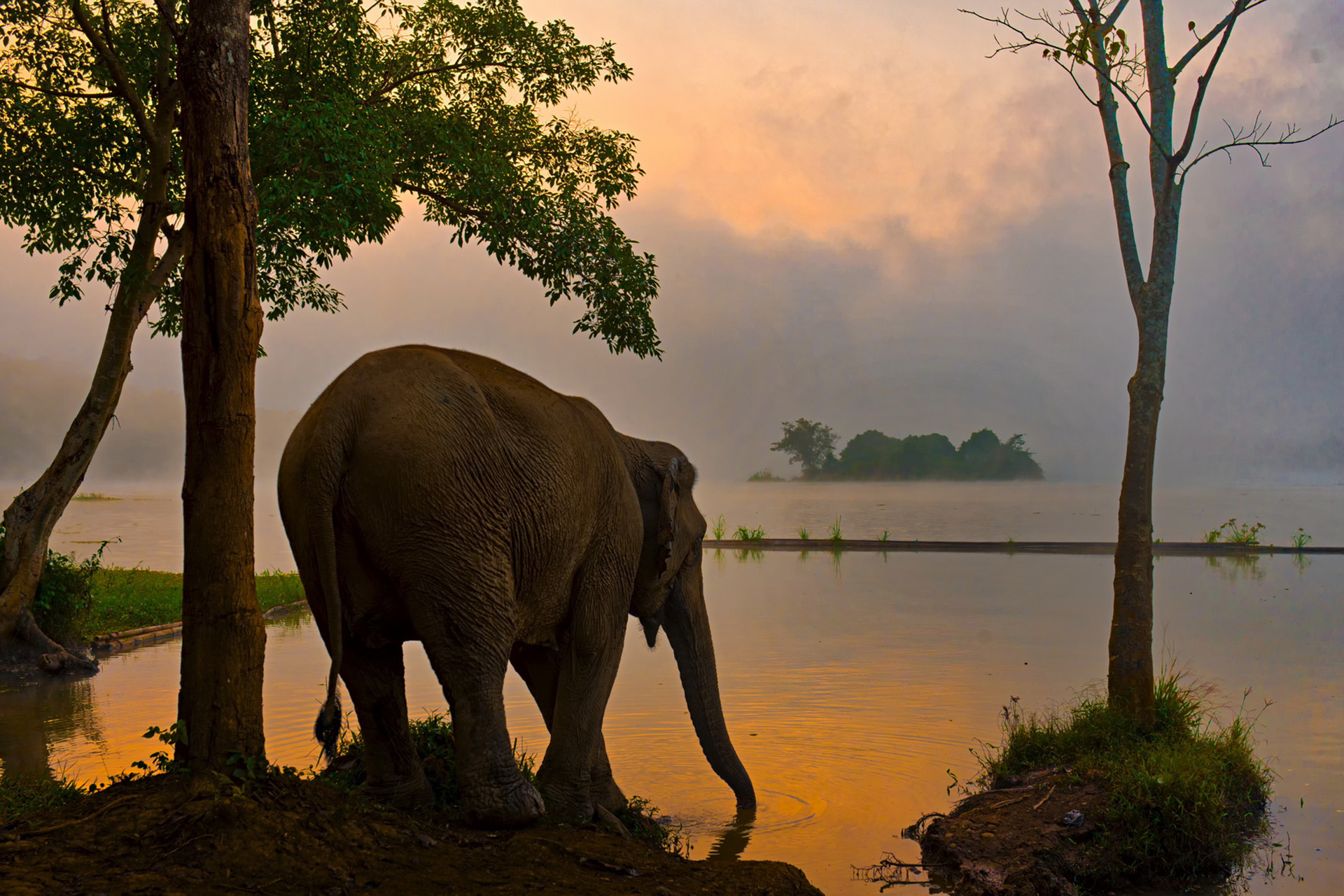 BOOK YOUR STAY - Elephant Conservation Center