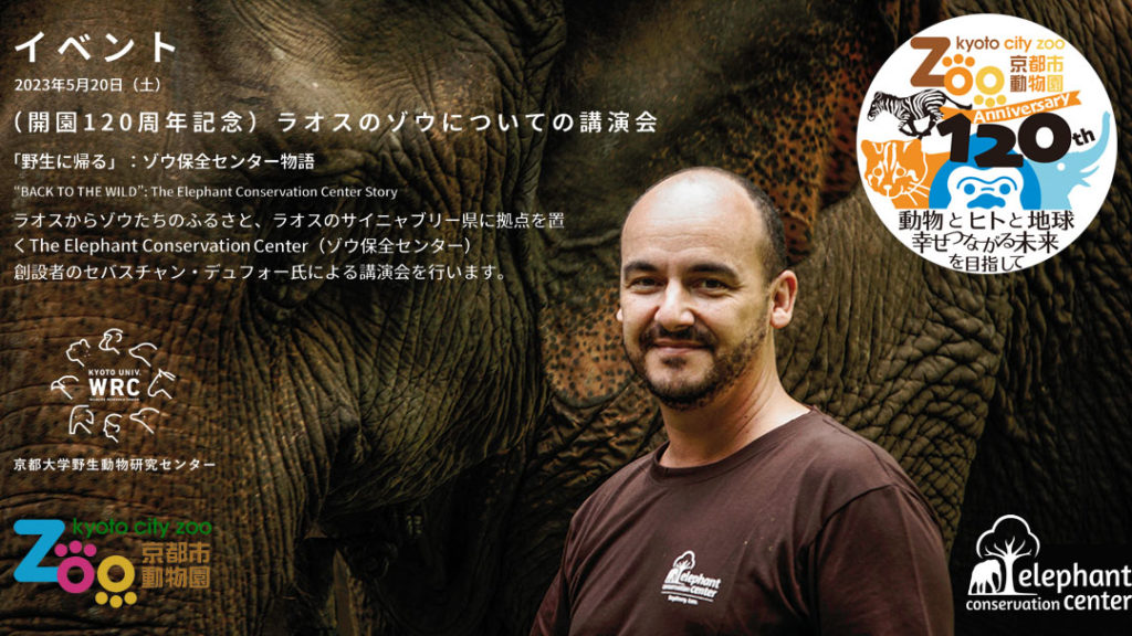 A look into the last 12 months at the Elephant Conservation Center ...