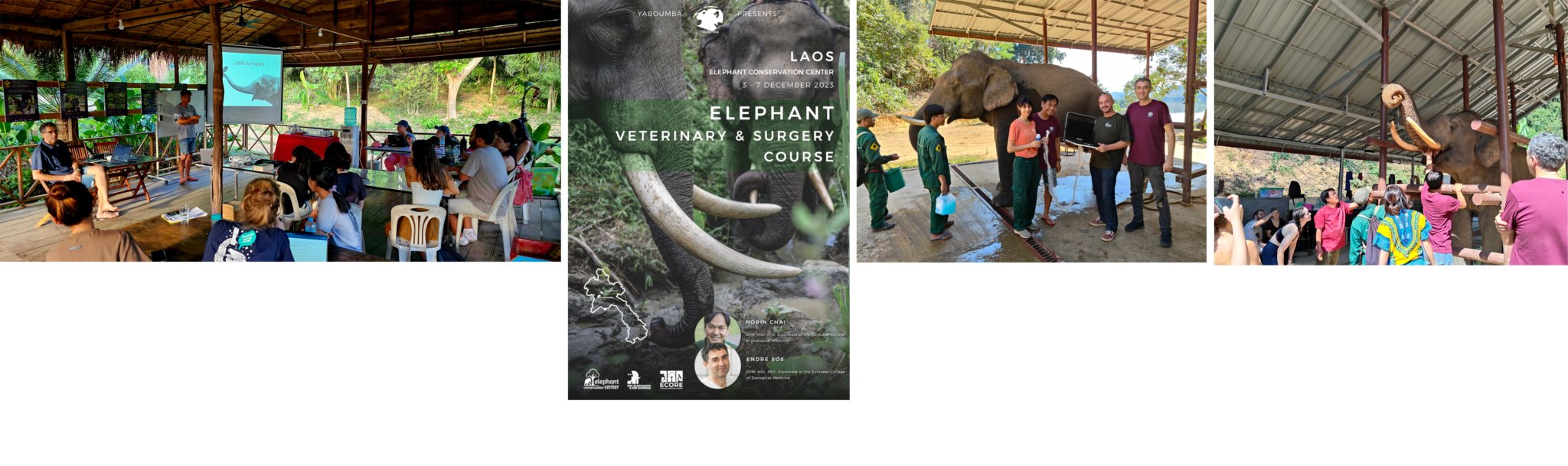A look into the last 12 months at the Elephant Conservation Center ...